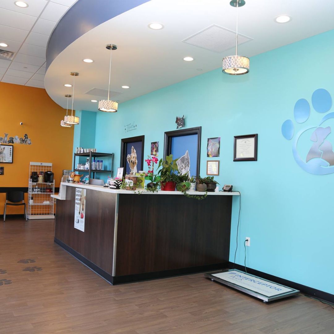 Grooming Appointment | Noble West Animal Hospital