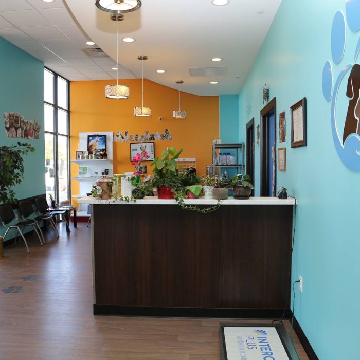 Noblesville, IN Vet Services | Noble West Animal Hospital